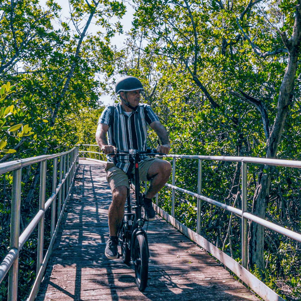 EZbike Canada | Blutron EB350F E-Bike