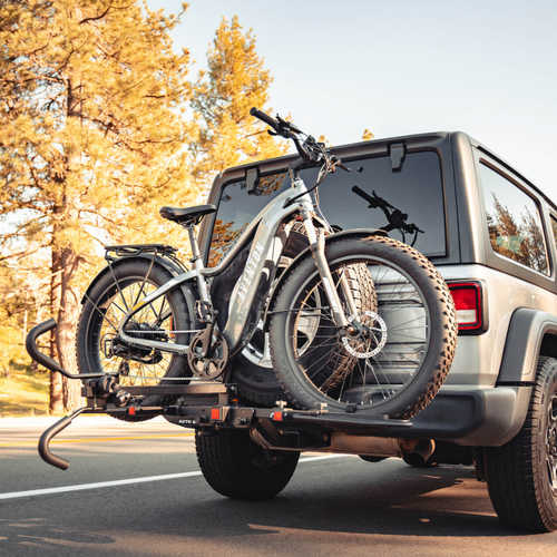 Aventon Foldable Hitch Rack